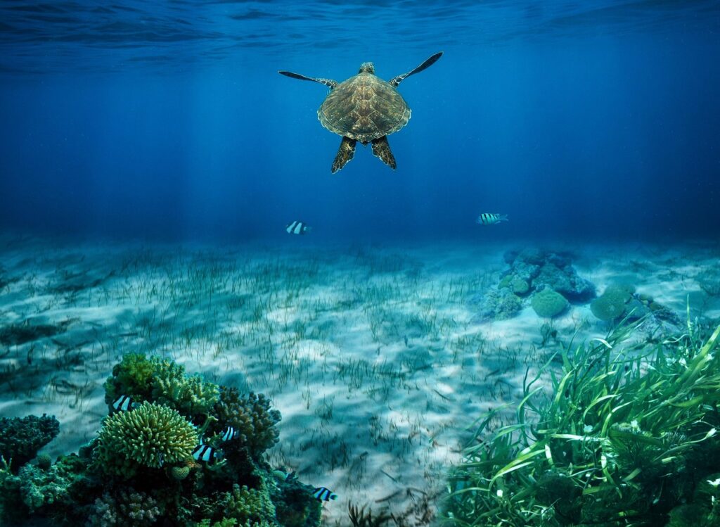 What Are the 7 Main Types of Ecosystems? (Plus 10 Real-World Examples ...